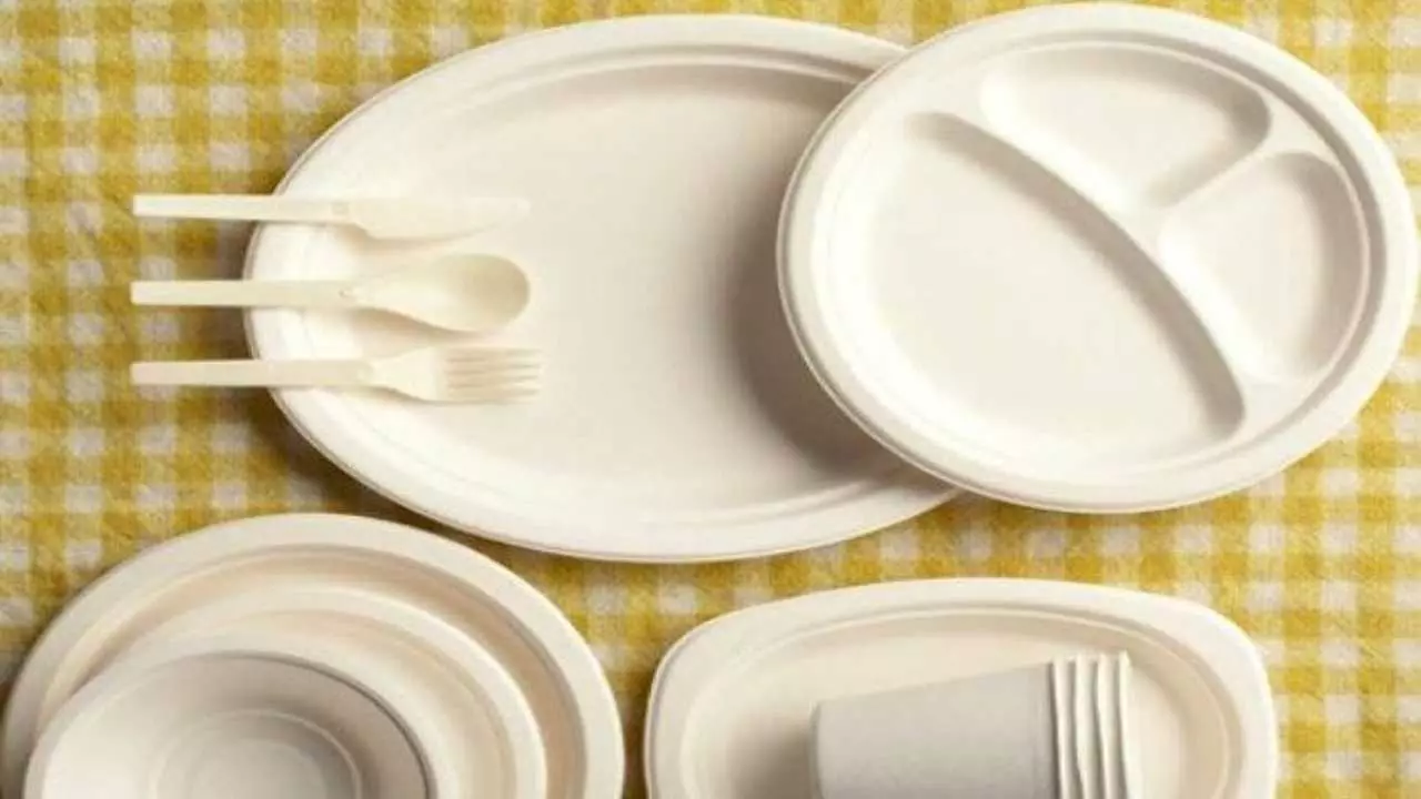 Compostable, EU motsutsana ndi nsungwi tableware koma Italy sasintha