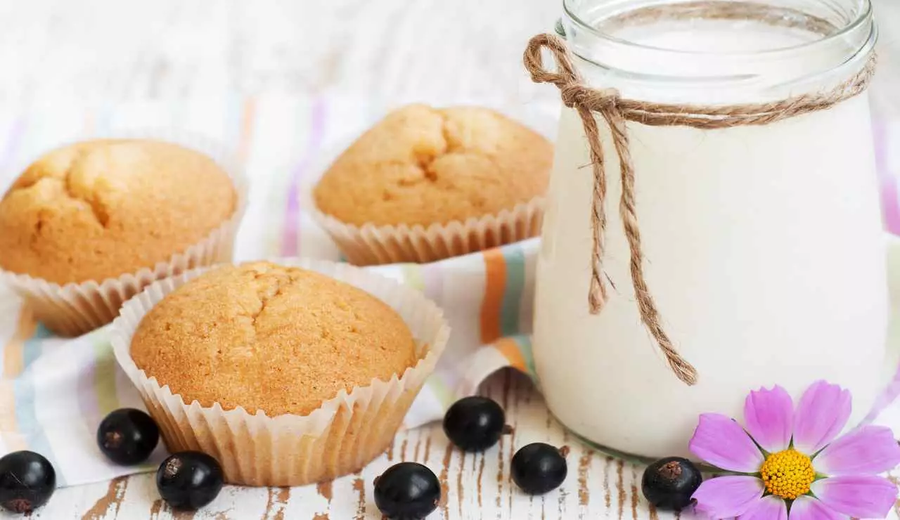 Lactose-isina yoghurt muffins