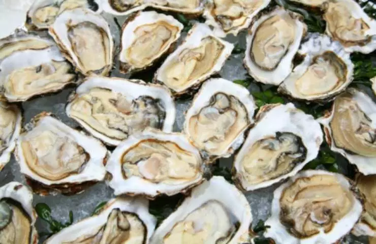 Norovirus sa mga talaba gikan sa France