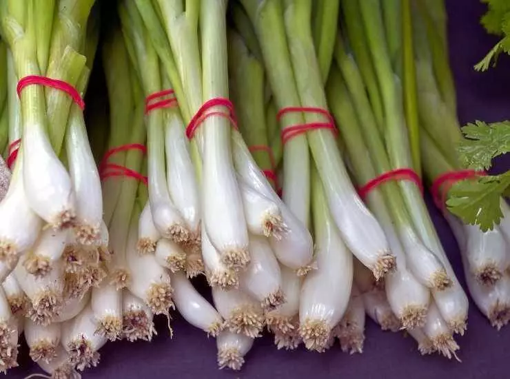 Resep salad buncis dan pir roket