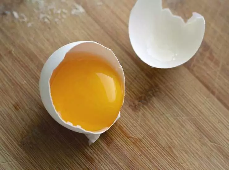 egg