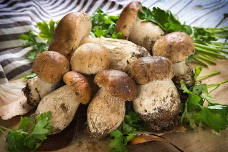 Crispy e ghere eghe porcini | Nri mkpịsị aka dị ụtọ ma dị mfe 32815_2