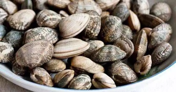 Zutaten für die Zubereitung des Muschelsuppenrezepts 33436_2