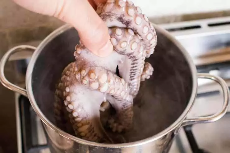 Sarerea mikanyaah salad gurita | Vérsi Calabrian ieu bakal herang! 33727_2