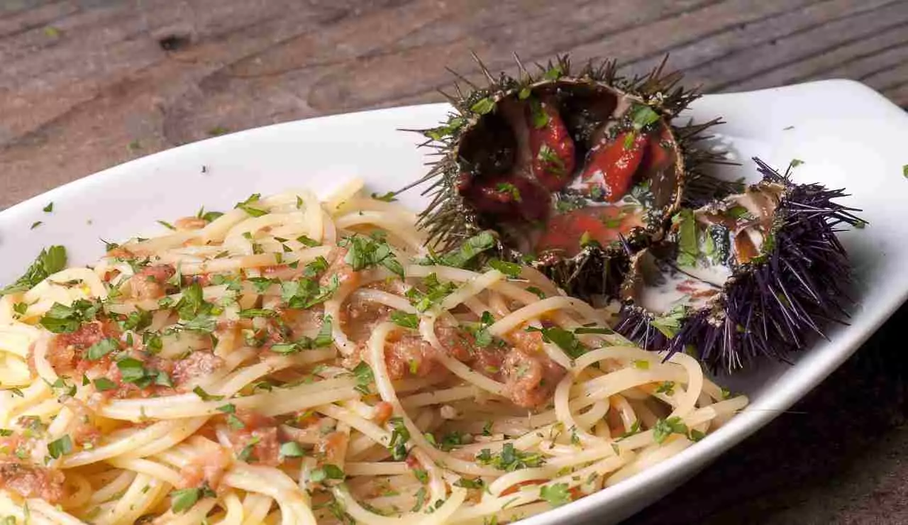 Spaghetti met zee-egel | een heerlijk en smakelijk gerecht