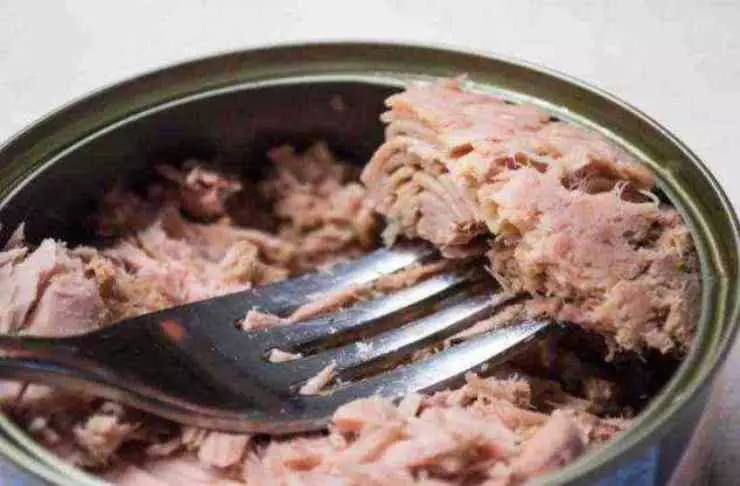 Tuna at kamatis Schiacciatine sa isang pan PHOTO recipe print