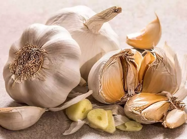 Rezept für kalte Nudeln mit Pesto aus sonnengetrockneten Tomaten und Oliven