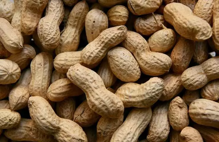 peanuts 20220125 Rezept Drécken