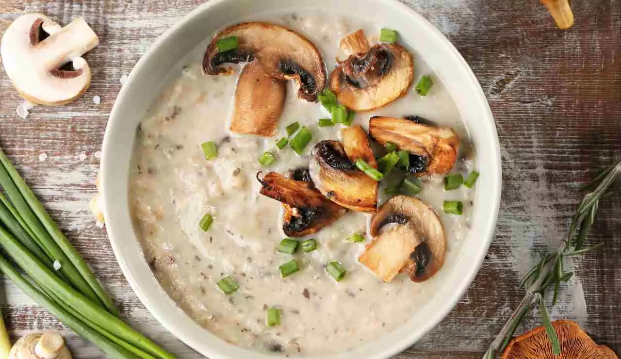 Кремаста септемвриска супа од печурки | Вкусно и топло и ладно 34263_1