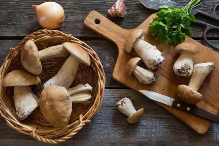 Кремаста септемвриска супа од печурки | Вкусно и топло и ладно 34263_2