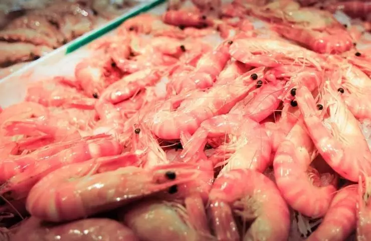 Shrimp cusub sida loo garto