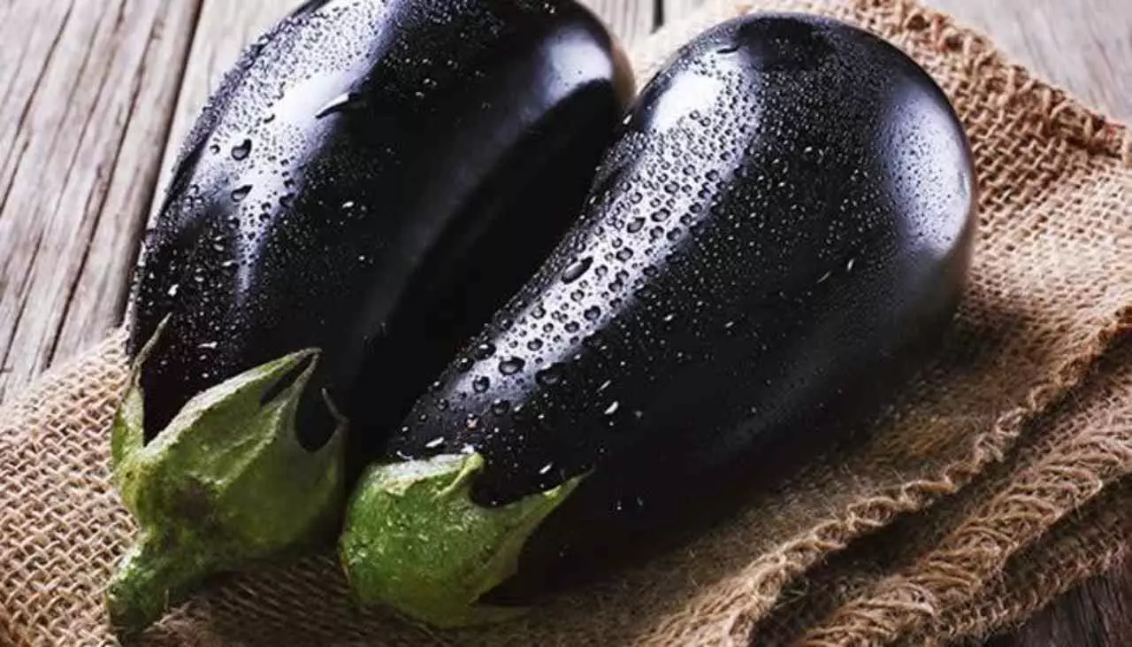 palibe parmigiana kapena mbale zosiyanasiyana apa pali mbale yokhala ndi aubergines kuti mupange 20220316 ricettasprint