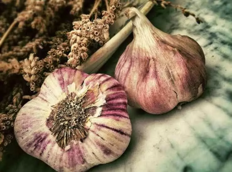 Rezept für knusprig gebackene Sardellen gratiniert