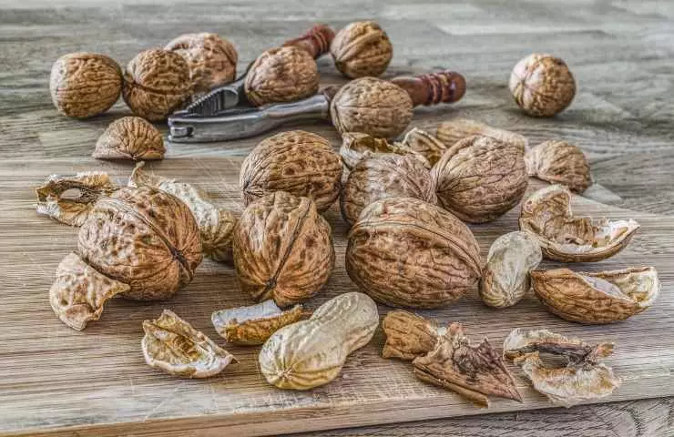 Walnut sing migunani, amarga sampeyan kudu mangan saben dina 34556_2