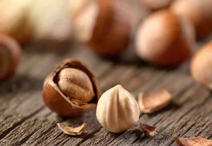 hazelnut mmiri ara ehi ude tart 2022 03 17 uzommeputa bipụta ya