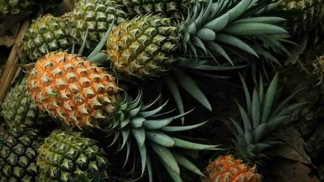 Kypsä ananas, kuinka tunnistaa se ja tuoda kotiin maukkaimmat