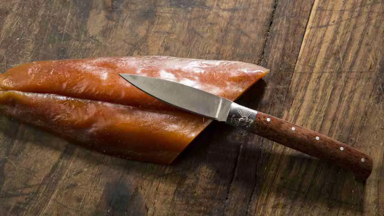 Mullet bottarga، چیست و چگونه بوتارگا با کیفیت بالا را تشخیص دهیم