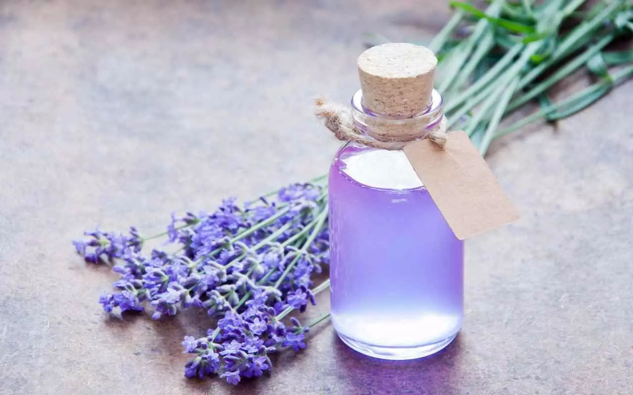 Lavender syrup | Great for desserts and cocktails