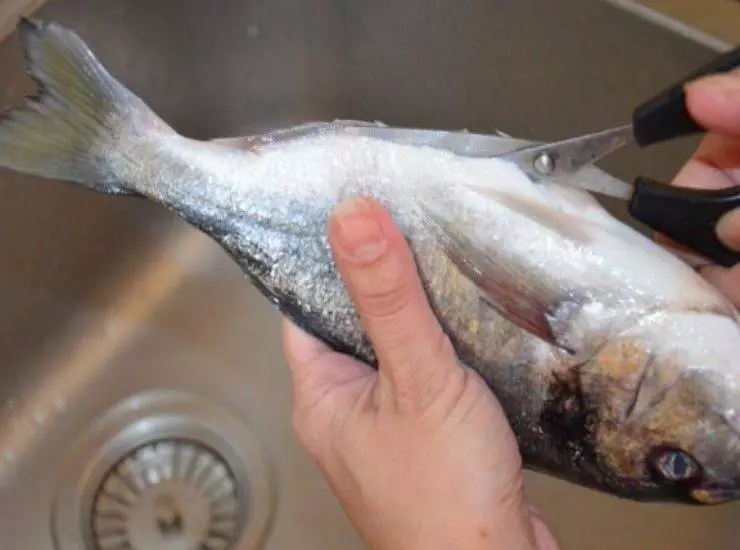 清洗鯛魚