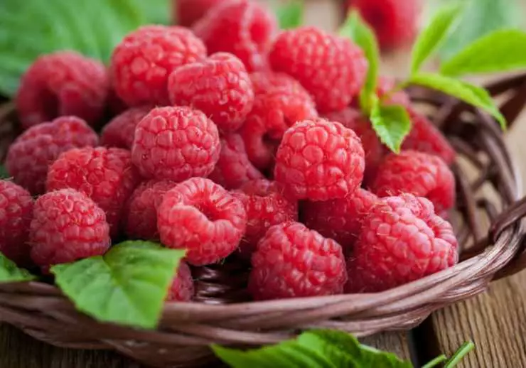 मलाईदार रास्पबेरी शर्बत | स्वादिष्ट मौसमी मिठाई 35015_3