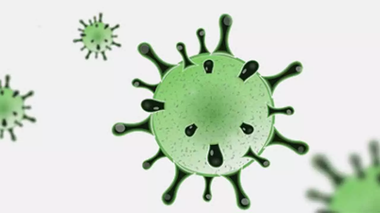 Koronavírus, milyen óvintézkedéseket kell tenni a konyhában?