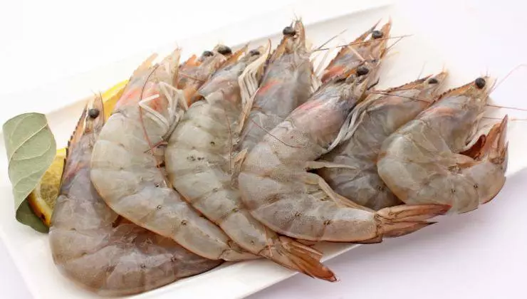 Sopa de peixe sen ósos, sabor único de polbo, gambas e gambas 35134_3