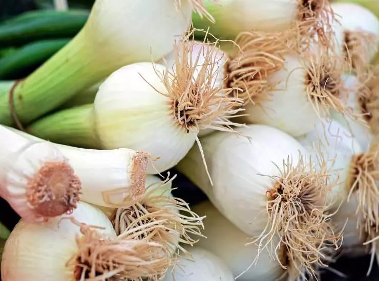 Preparazzjoni tar-riċetta għall-insalata tal-fażola bajda u l-basal tar-rebbiegħa 35171_2