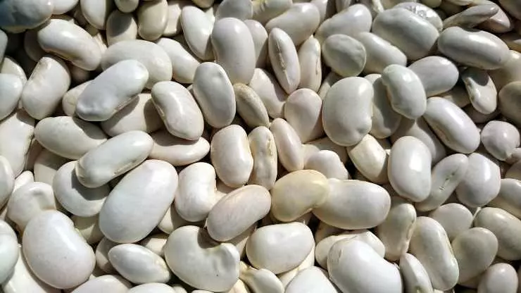 白豆とネギのサラダレシピの準備 35171_4