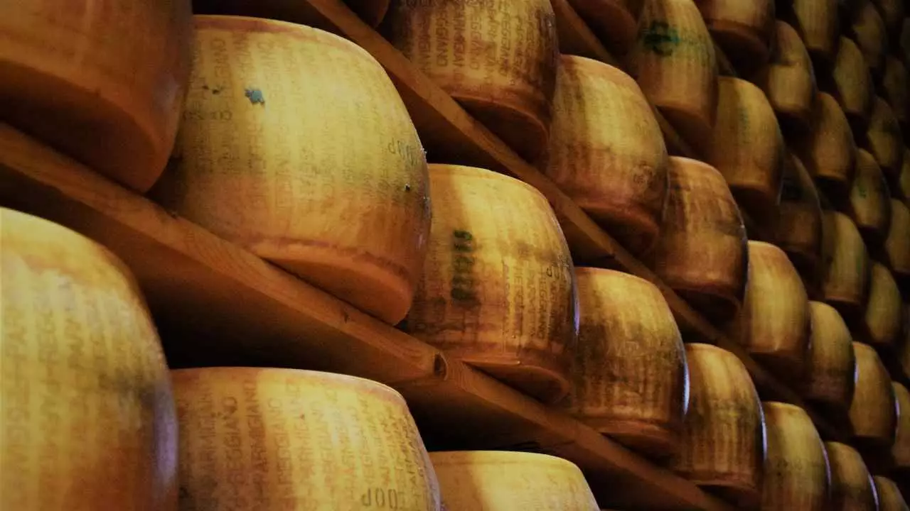 Parmigiano Reggiano, zer eragin dute bakterioek barruan?