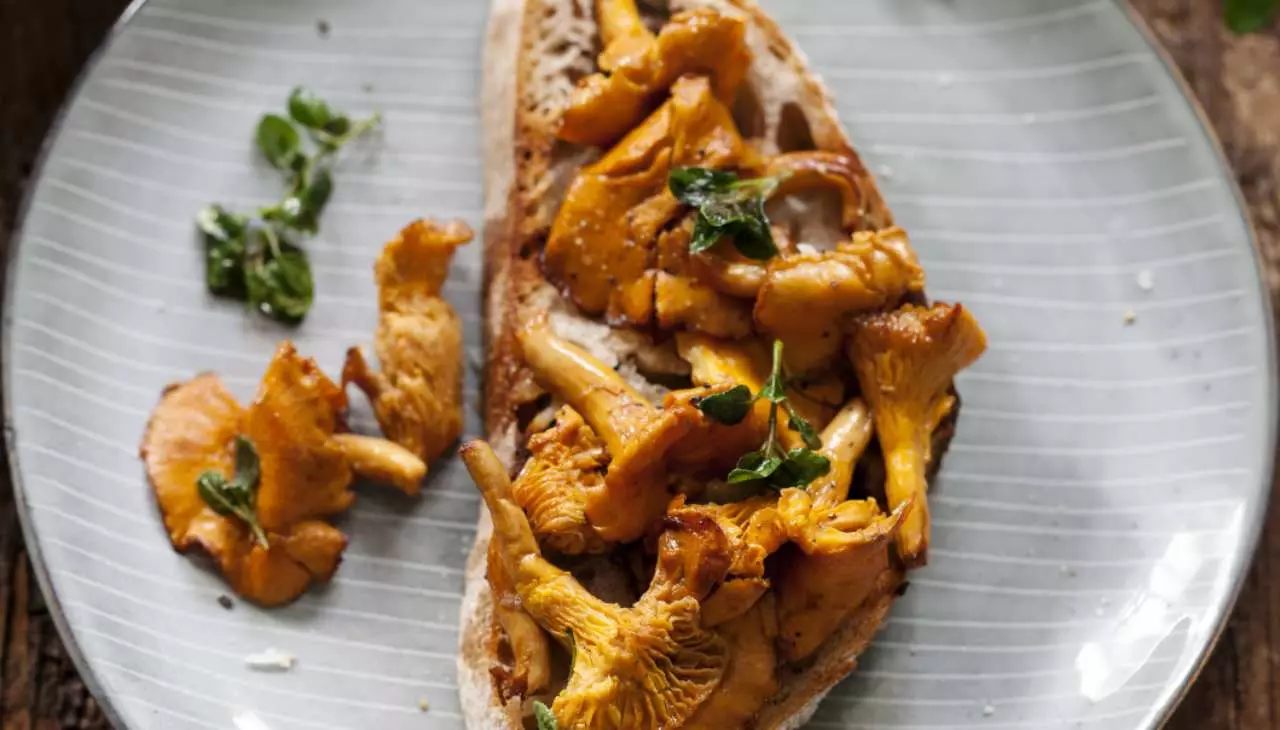 Geroosterd brood met champignons en hazelnootroom