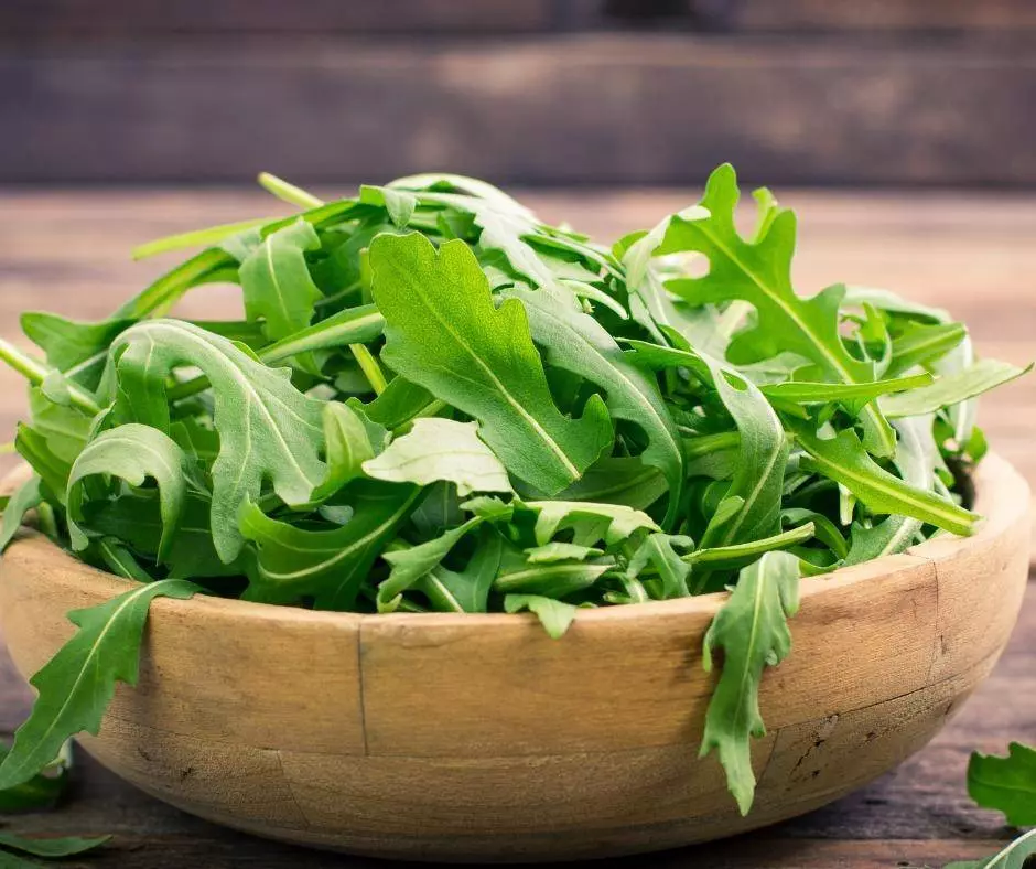 Paste cu bresaola ricotta si rucola FOTO reteta imprimare