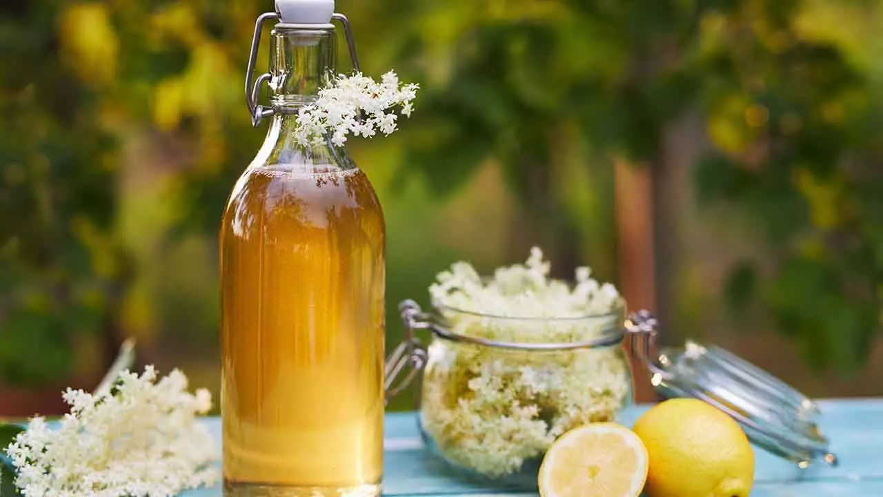 Holundersirup, das Getränk, das das Immunsystem stärkt