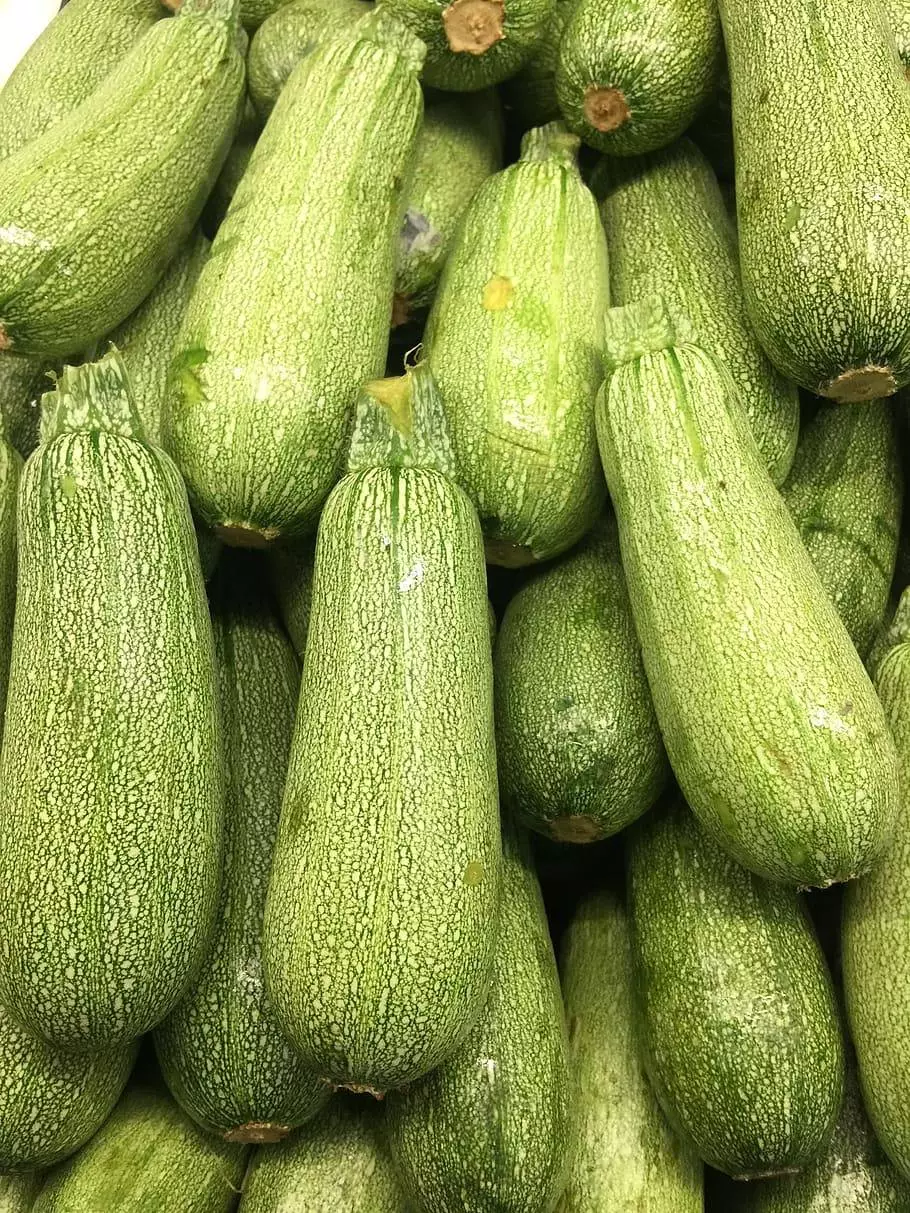 light-colored zucchini
