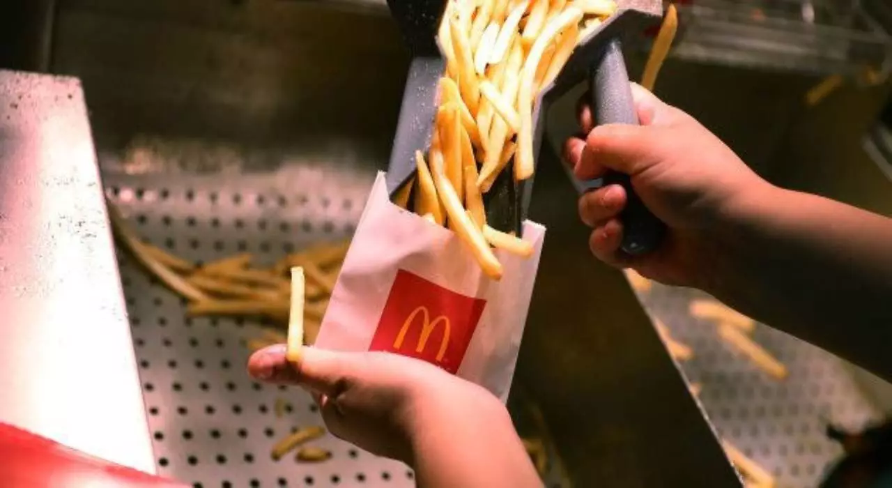 Gardez les frites McDonald's pendant 17 ans et la découverte est incroyable | PHOTO