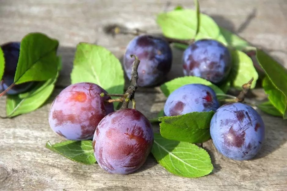 Marmelada de ameixa e xenxibre un sabor particular que conquista 3599_2