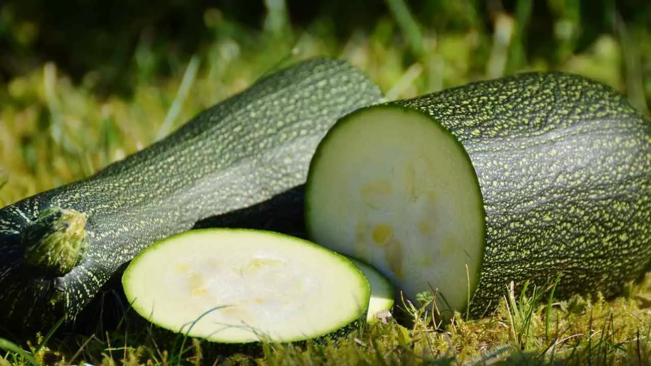 Uban sa zucchini Benedetta Rossi nag-andam sa usa ka lamian nga side dish sa usa ka pan, pagdiskobre sa resipe