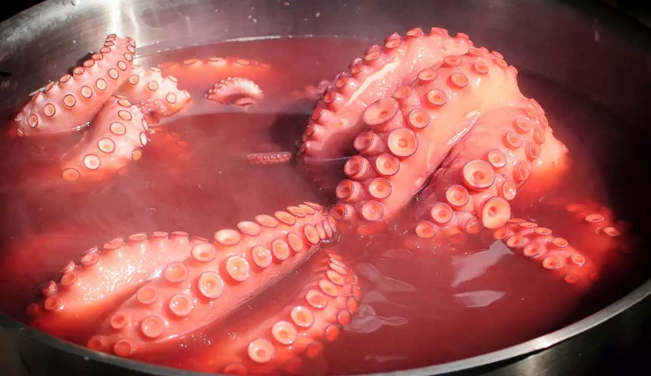 Octopus ໃນສະຫຼັດແມ່ນມີລົດຊາດ, ແຕ່ຖ້າທ່ານເຮັດແບບນີ້, ທ່ານຈະມີອາຫານທີ່ບໍ່ສາມາດປຽບທຽບໄດ້ 37005_1