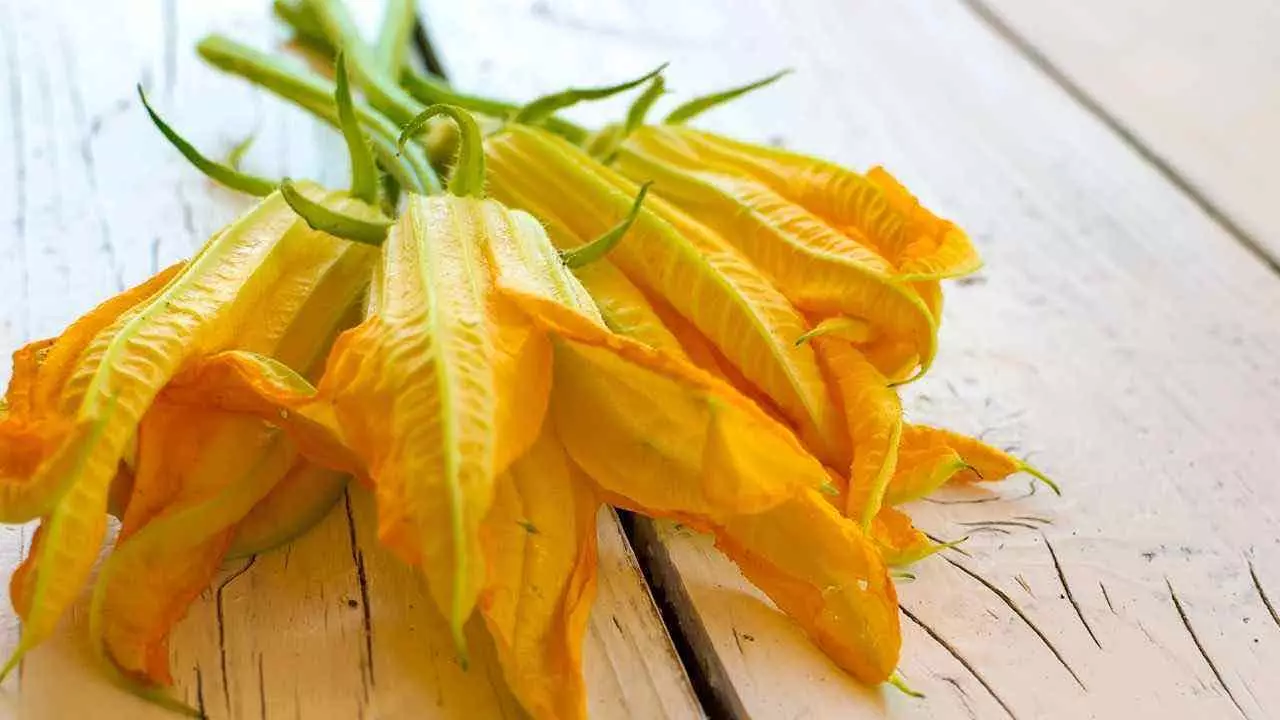 courgette blomster