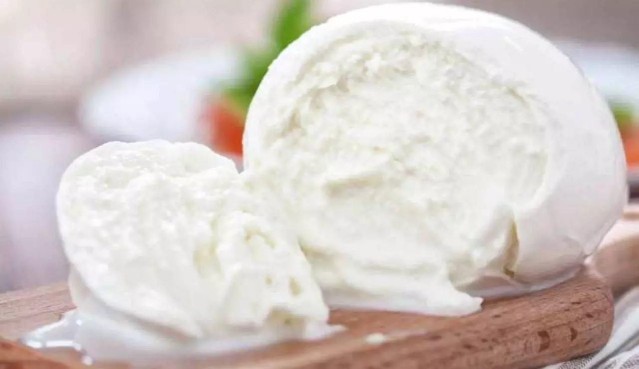 Mozzarella og paprika sammen? Prøv denne deilige oppskriften og du vil ikke angre