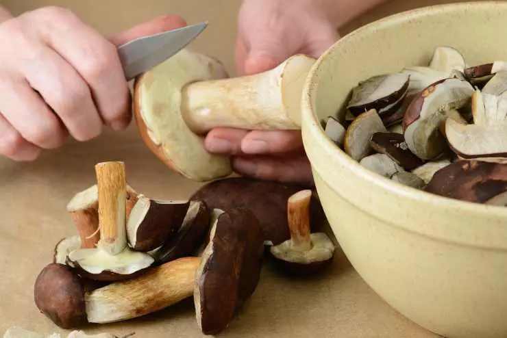 Porcini-sieni risotto pistaasipähkinäkermalla - ricettasprint