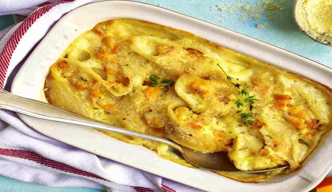 Kabak ile doldurulmuş Conchiglioni ve beşamel soslu pişmiş ricotta