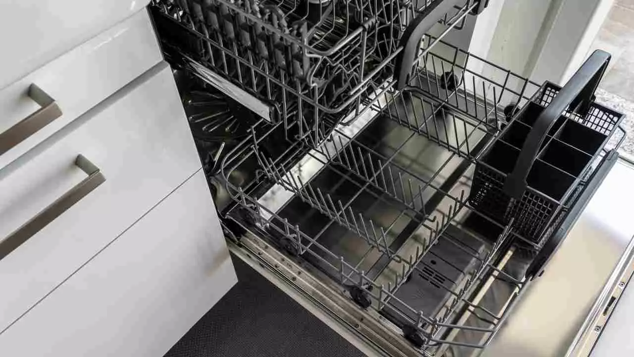 Sa unsa nga paagi sa paglimpyo sa dishwasher, unsa ang buhaton sa pagwagtang sa bakterya