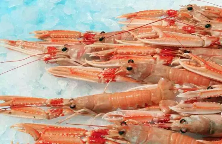 How to recognize fresh prawns