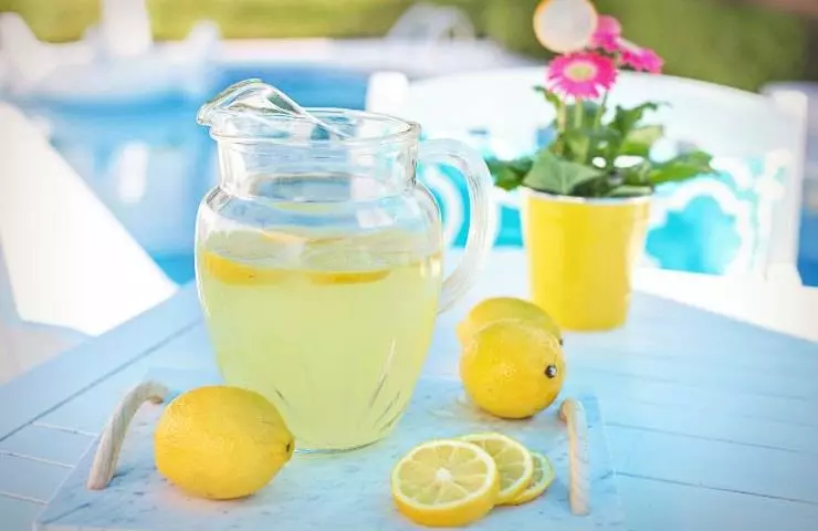 Properti lemon | seribu dan lebih banyak cara untuk melakukan kebaikan bagi diri sendiri dan rumah Anda