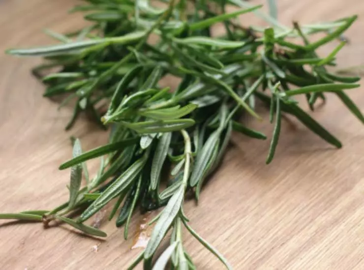 Rosemary agus subh pluma Priontáil oidis Grianghraf