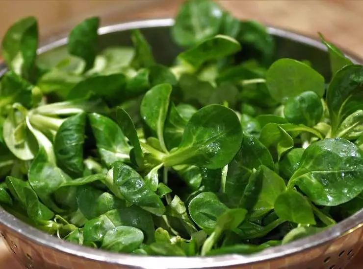 Ensalada de salmón y aguacate - ricettasprint