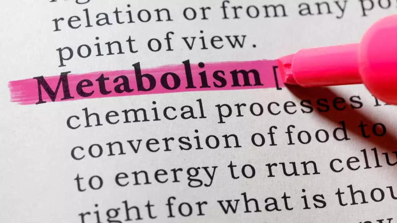 Metabolizmas