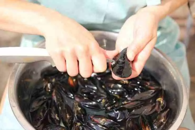 Pasta, frijoles y mejillones | receta de antonino cannavacciuolo 4464_3