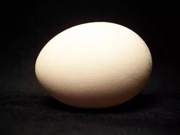 Водяное яйцо, ингредиенты для приготовления легкого рецепта 4641_2