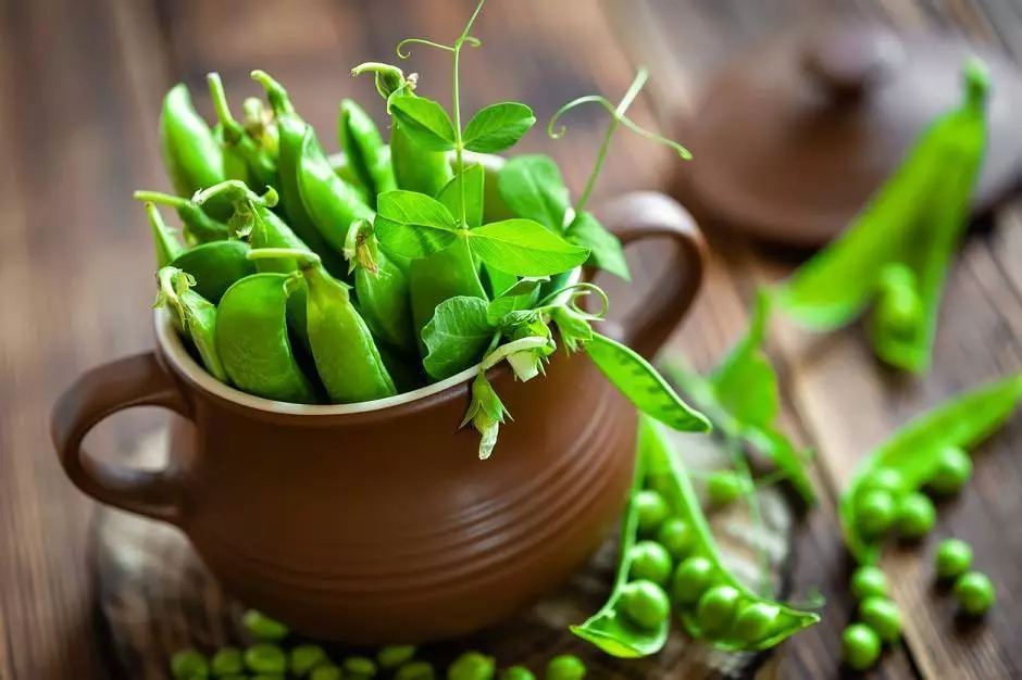 Pâtes aux petits pois, Grana et crème de Philadelphie, quelle onctuosité 4697_3